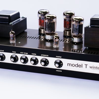 Winter Amps Sunn Model T Clone Pre Built Ready to Ship | Reverb