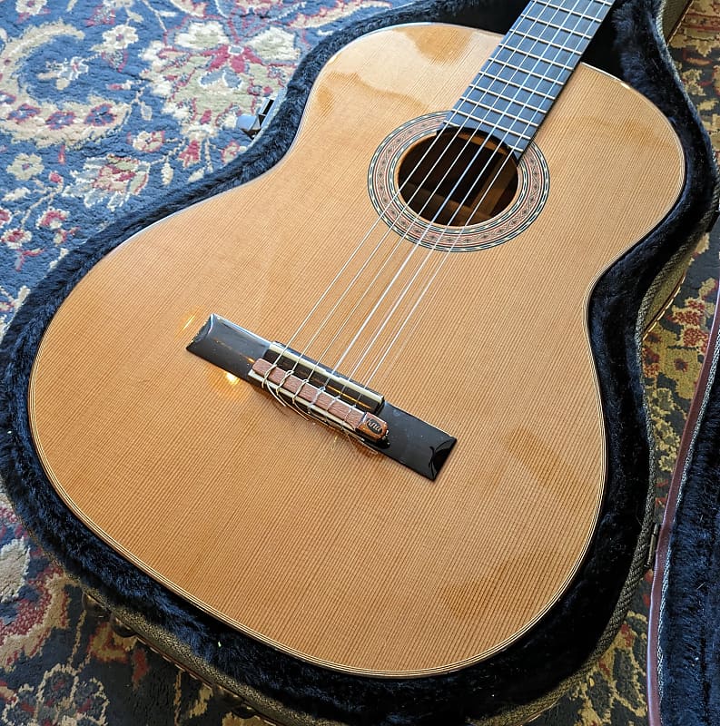 Guild GAD-C1 Classical Guitar 2008 w/Guild Case *KNA Pickup* | Reverb