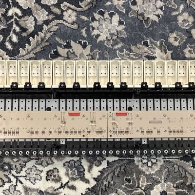 Fatar TP80 waterfall 61 key professional organ keyboard | Reverb