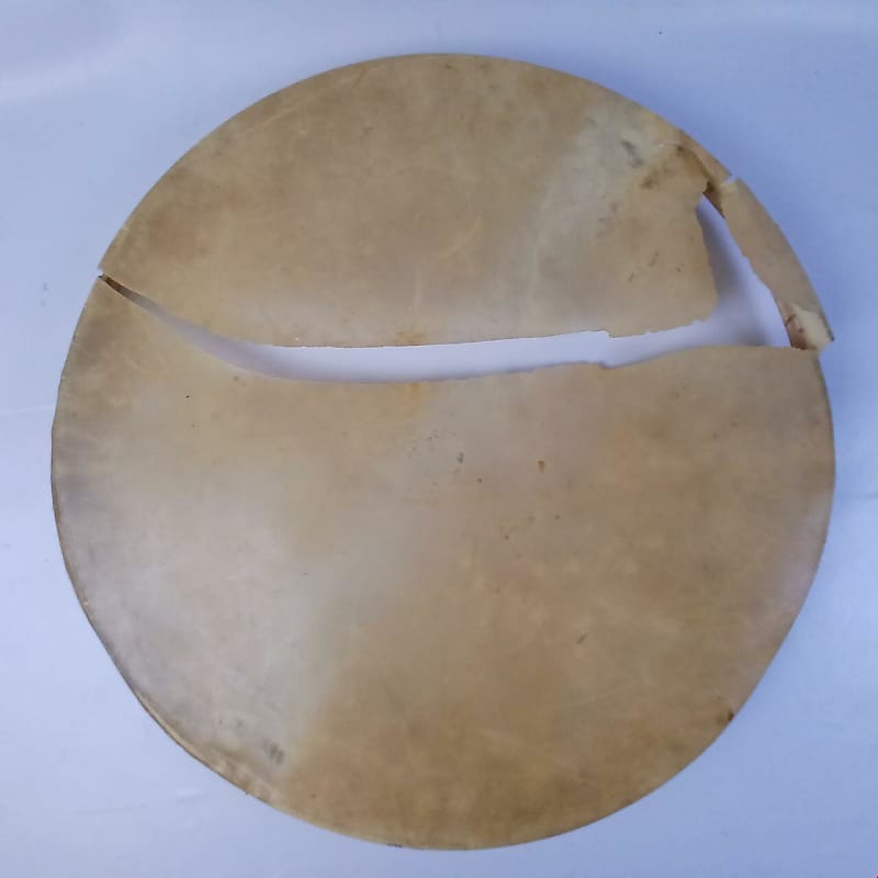 Ludwig 14" Resonant Slunk Calf Skin Snare Drum | Reverb