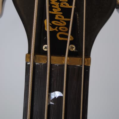 Warwick Dolphin Pro 1 | Reverb