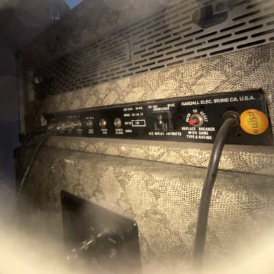 Randall rg100 cabinet speakers | Reverb