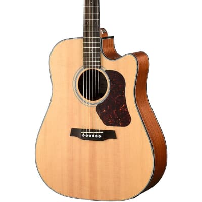 Walden Natura Solid Spruce Top Dreadnought Acoustic | Reverb