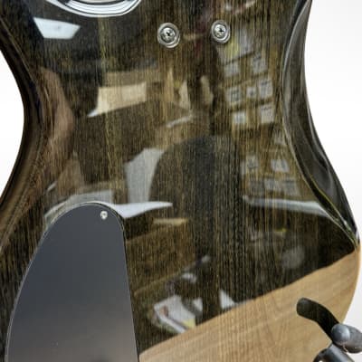 Epiphone Embassy 5 String | Reverb