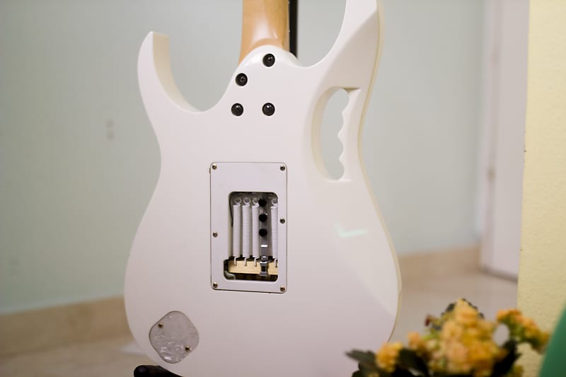 Custom Openback Backplate for Jem Guitars | Reverb