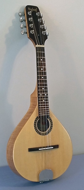 Celtic Mandolin | Reverb