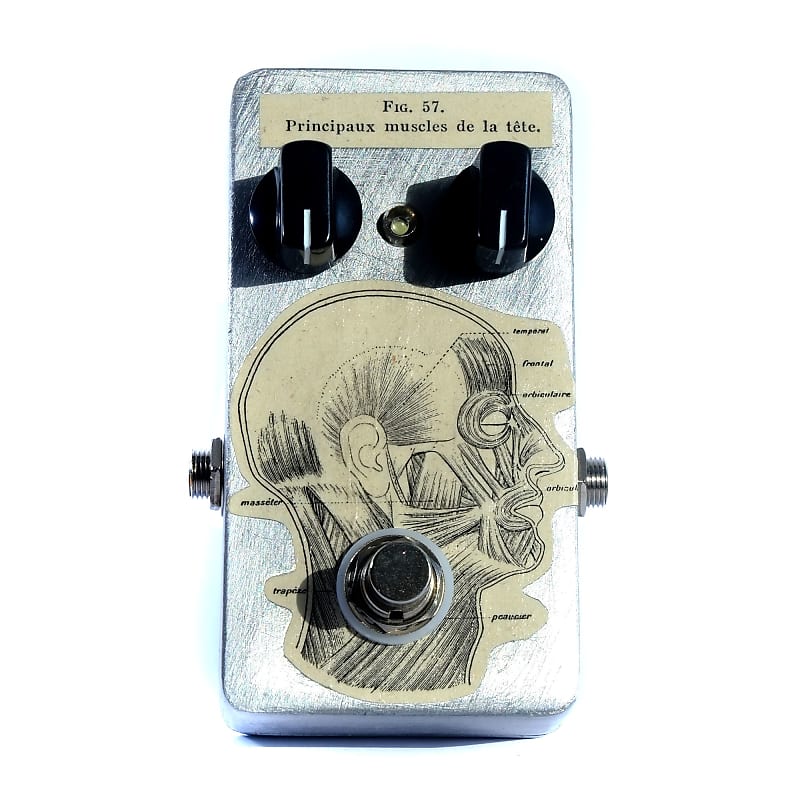 La Tête Fuzz | Reverb