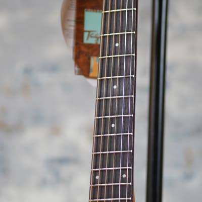 Tagima Modena Steel 2023 | Reverb Canada