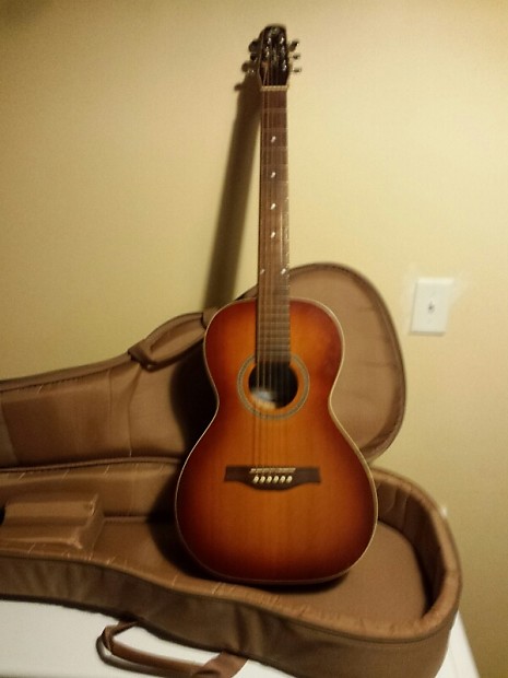 Seagull Grand Entourage Rustic Parlor Rustic | Reverb