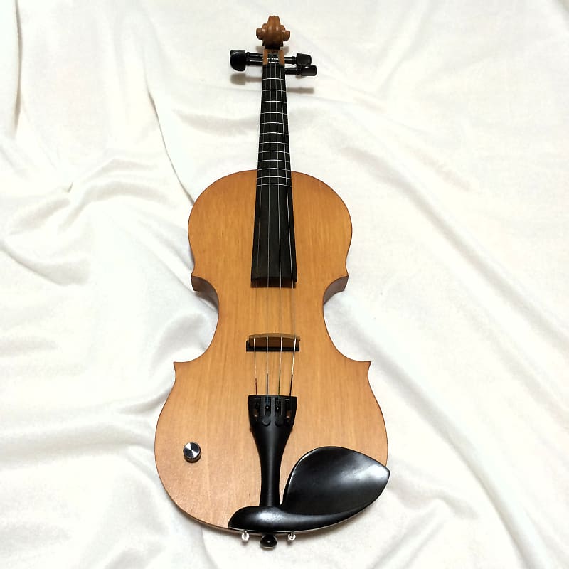 Left hand violin. Fretted semi-acoustic / electric | Reverb UK