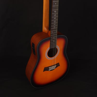 6 Strings Fretless Classical/ 12 String Acoustic Double | Reverb