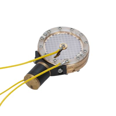 BeesNeez Pro Audio BN- K67 Microphone | Reverb Australia