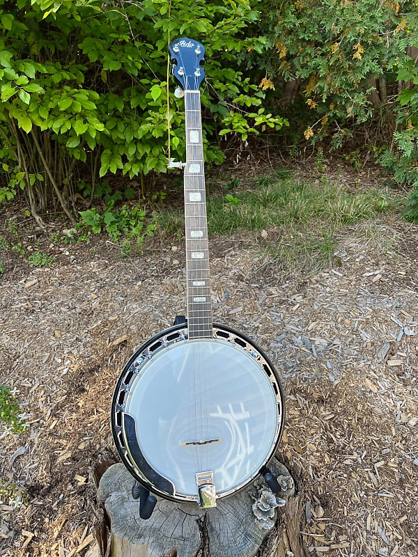 Sweet 1975 Iida Flathead 5-string Banjo Model 227 with | Reverb