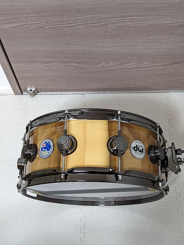 DW pure Tasmanian timber 5.5x14" Snare Drum Tasmanian | Reverb