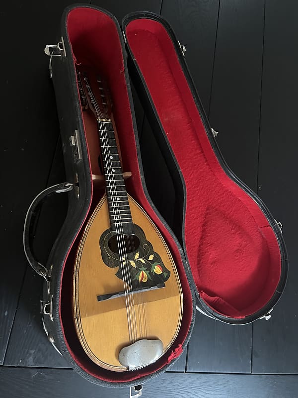 lignatone vintage 8 string bowl back mandolin, comes with | Reverb