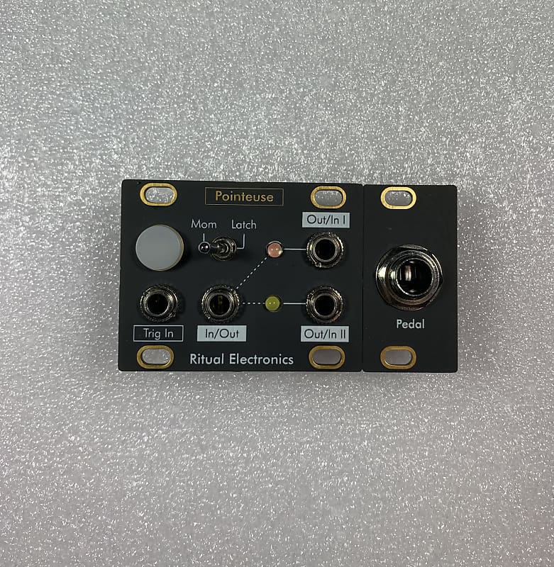 Ritual Electronics Pointeuse 1u intellijel format | Reverb