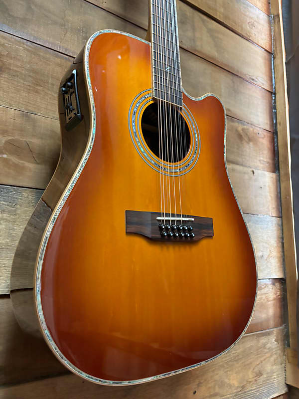 Pre-owned Zager ZAD-900CE-12 All Solid 12-String Ac/El w/case | Reverb