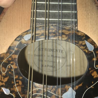Mandolin Brothers Stridente 1905-1915 | Reverb