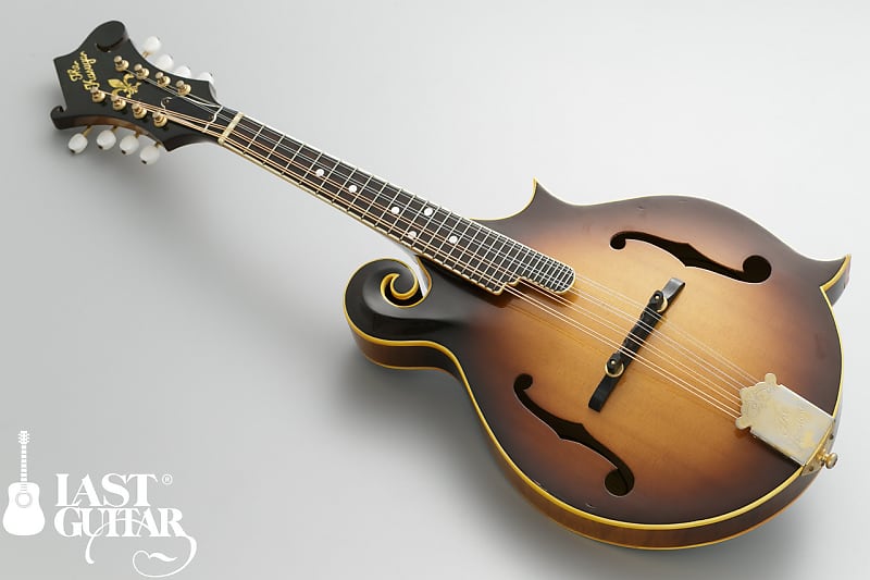 KASUGA Custom Model M 75 | Reverb