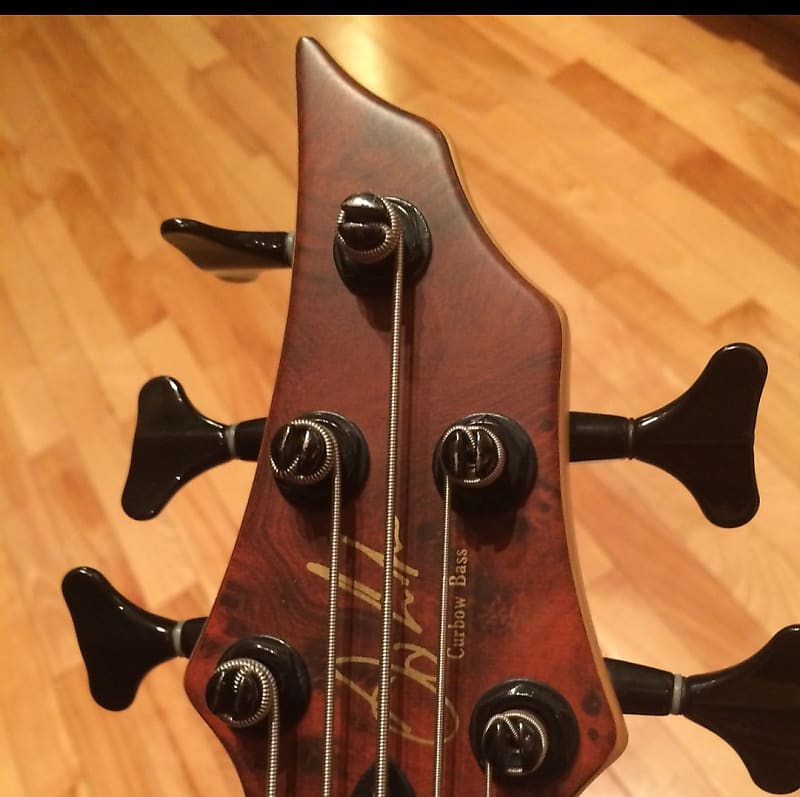 Cort Greg Curbow 5 fretless | Reverb