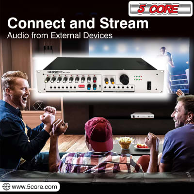 5Core 16 Channel Microphone Preamp Rackmount Mono Mic Line | Reverb