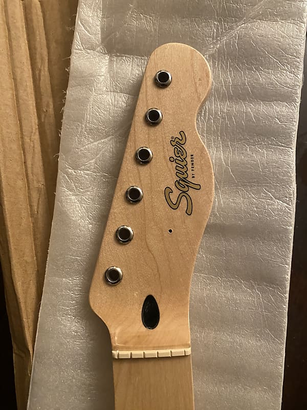 Telecaster Neck (Squier 2020) | Reverb