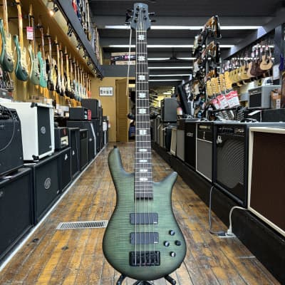 Spector Euro 5 LX Electric 5-String Bass Guitar Haunted Moss | Reverb