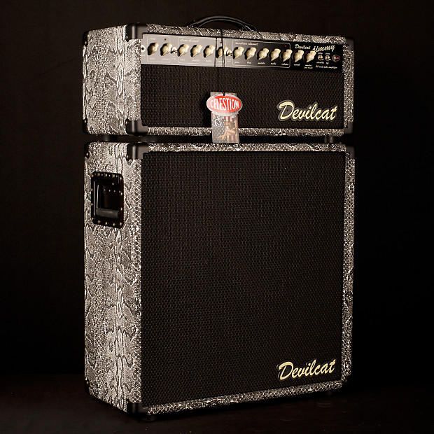 Devilcat Jimmy Head & 212C Cabinet Snakeskin S/N | Reverb