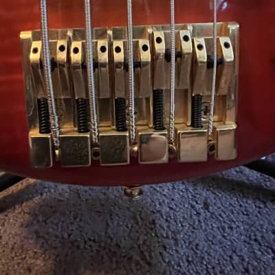 Pedulla Pentabuzz 5 String Fretless Bass | Reverb
