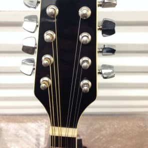 SAMICK SM20E Electric/Acoustic Mandolin Early 90's | Reverb