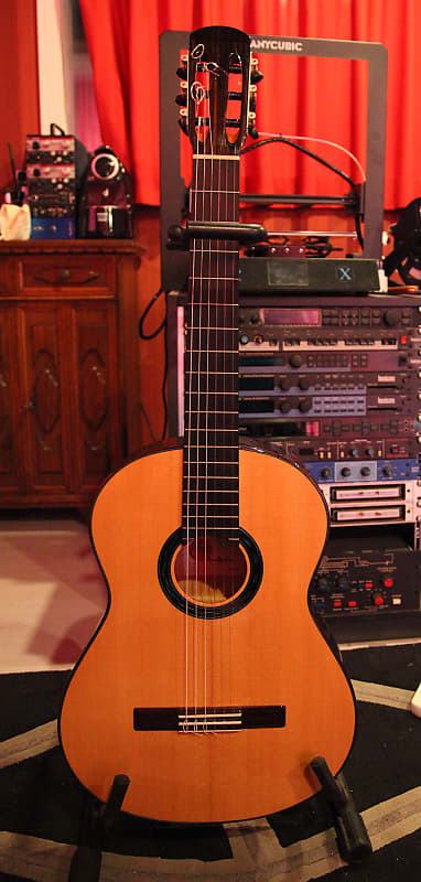 Rinaldo Vacca chitarra da concerto 2017 | Reverb