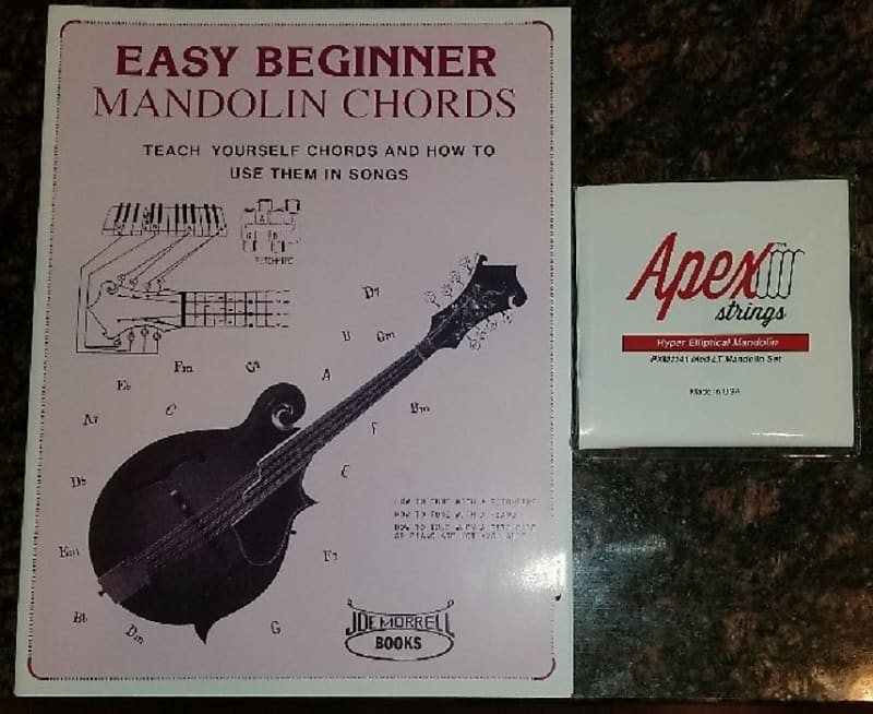 Easy Beginner Mandolin Chords + Apex Mandolin Strings Medium | Reverb