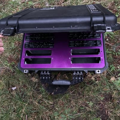 Burns Omega Model 12 Slot Case, Translucent Purple Sparkle, | Reverb