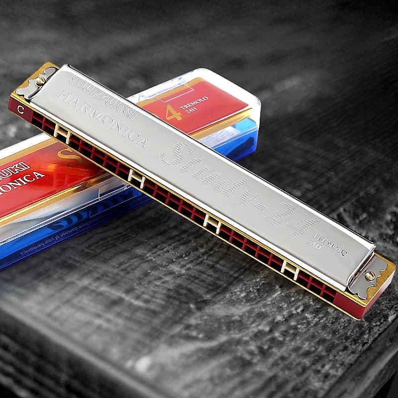 24 Hole Mouth Organ Jew's Harp Gaita Tremolo Harmonica | Reverb
