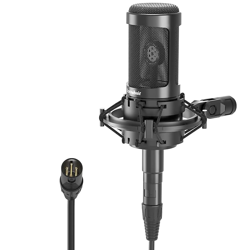 Cardioid Condenser Microphone Xlr, Studio Recording Microfono | Reverb