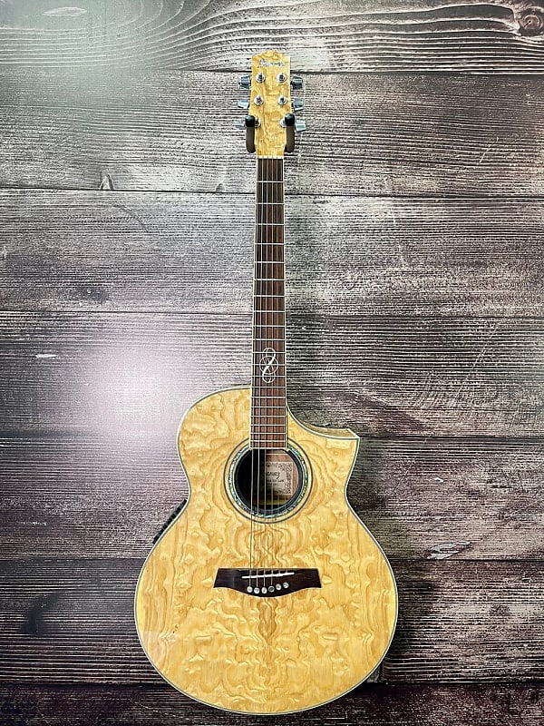 Ibanez EW20ASENT2102 Acoustic Electric Guitar (Edison, NJ) | Reverb