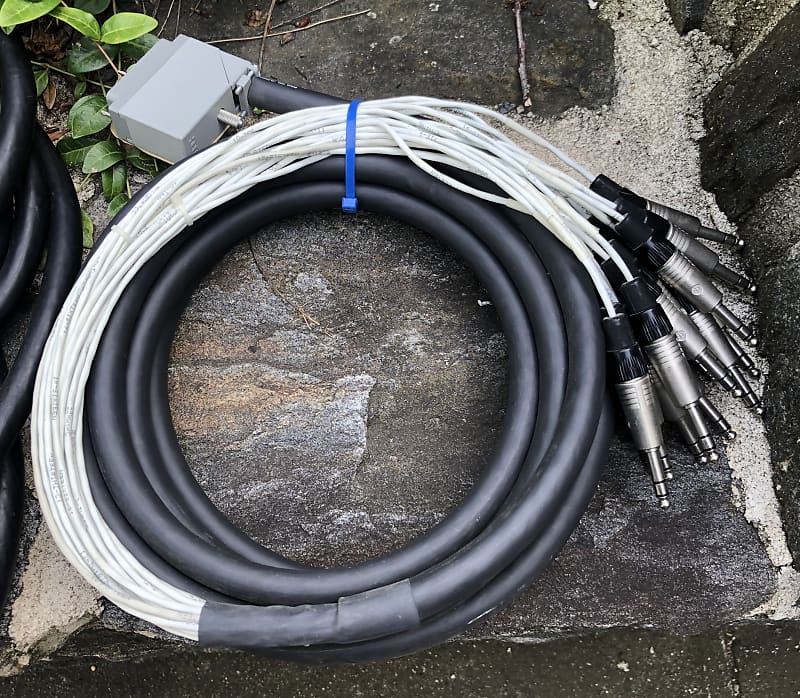 Pro Co ADAT TRS 1/4" to ELCO Snake 20" (#1) | Reverb