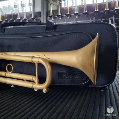 D. Calicchio L 1s ML goldplated trumpet, original case ! | Reverb