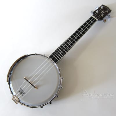 Gold Tone Baritone Banjo Ukulele w/ Hard Case | Reverb