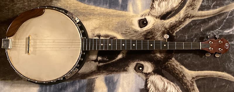 Kay closed back Banjo w/ carved Eagle on Resonator 60's 60s | Reverb