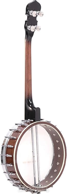 Gold Tone IT-250 Irish Tenor Banjo - Vintage Brown | Reverb