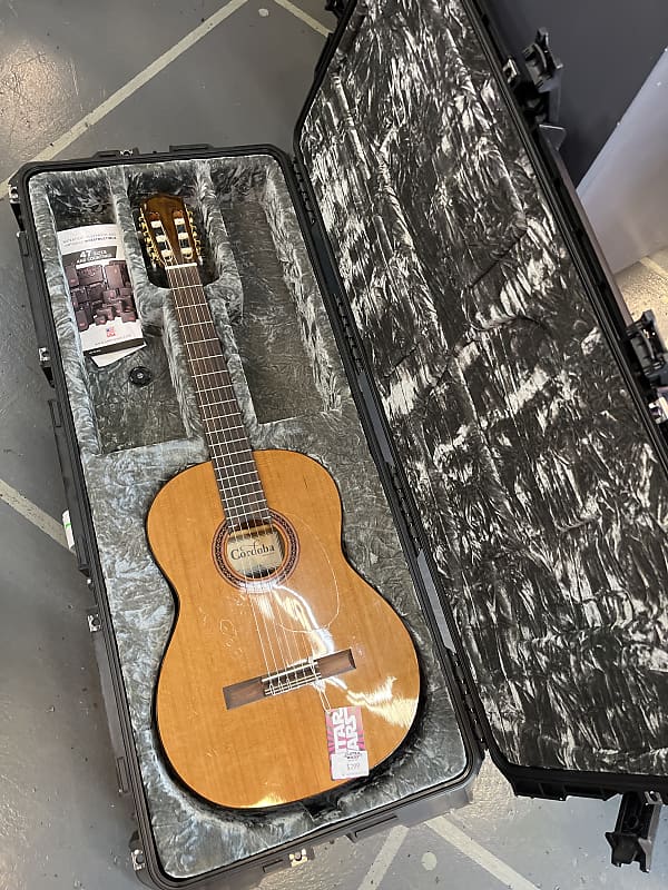 Skb Guitar flight case | Reverb