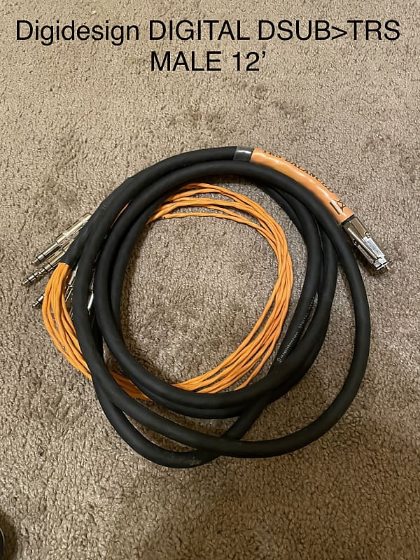 Digidesign Digital DSUB>TRS Male Cable 12’ | Reverb