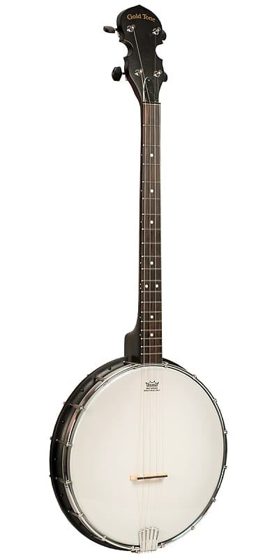 GOLD TONE AC-4 acoustic 4-string Tenor openback BANJO w/ BAG | Reverb