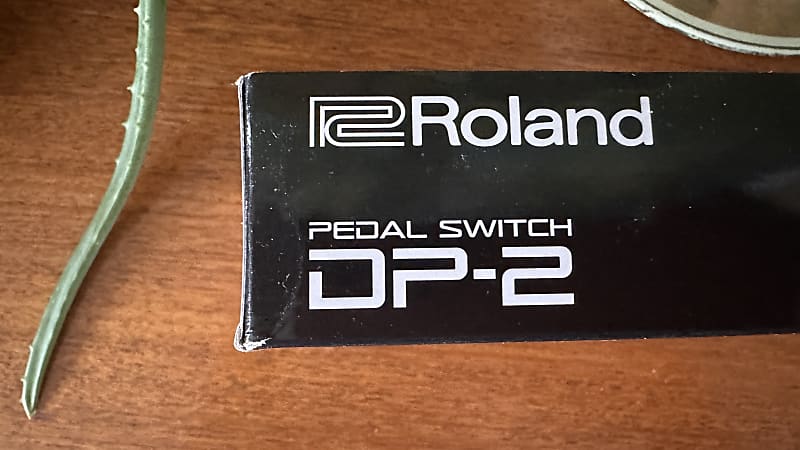 Roland DP-2 Pedal Switch “2020ks “ - Black | Reverb