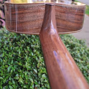 Shelley D. Park Guitars Fallen Vega Cylinder Guitar 2015 | Reverb