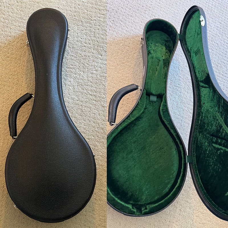 Collings A Style handmade mandolin case | Reverb