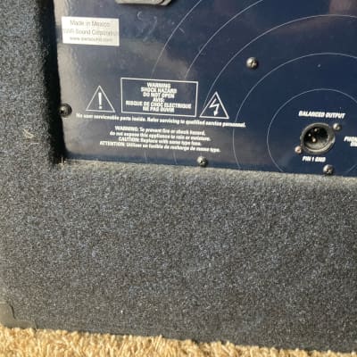 SWR Working Man's 10 Bass Combo early 2000's | Reverb