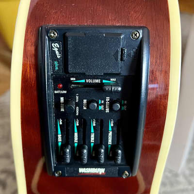 Washburn AB35 electro-acoustic 5 string bass 2004-2006 | Reverb UK