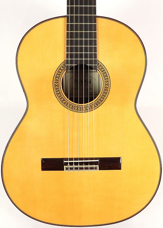 Pavan TP-30 Classical Guitar w/ Case - Natural Spruce Top | Reverb